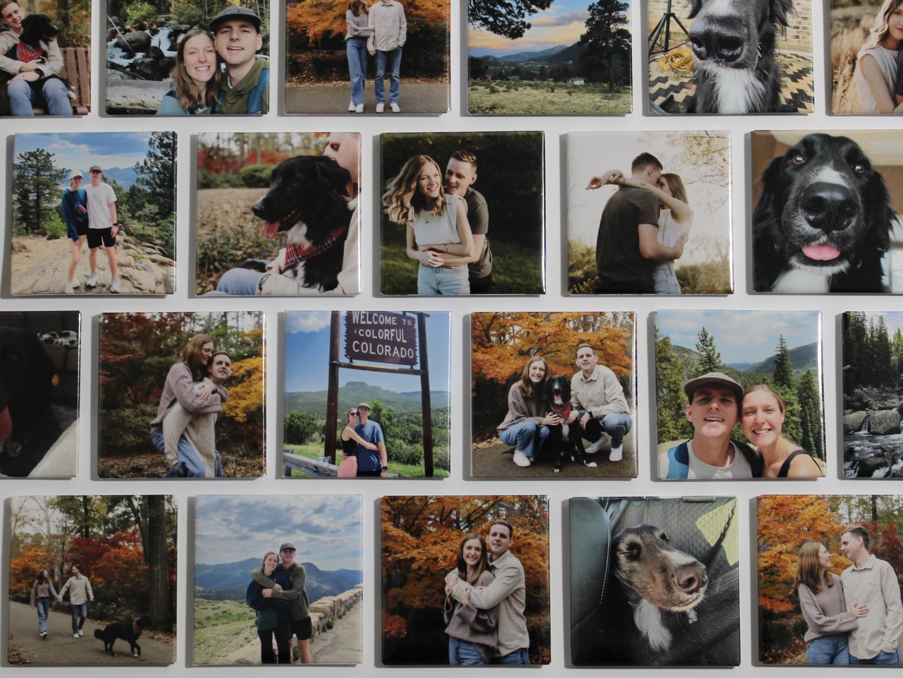 Tiny Tiles Magnet Co – Tiny Tiles Magnet Co.